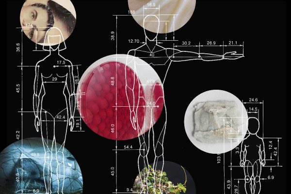 Bio Art Exhibitions - BFA Fine Arts - School of Visual Arts, SVA NYC