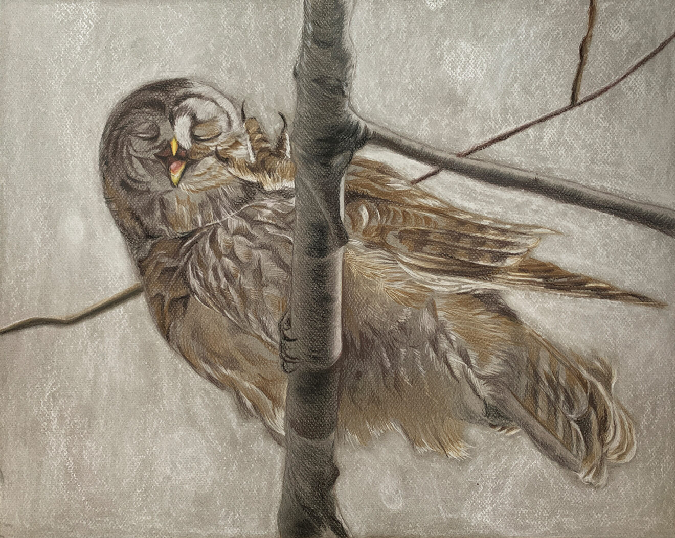 Wanru Jovie Li Owl 2020 Colored Pencil And Pastel 48 X 36 Inches wanru-jovie-li-owl-2020-colored-pencil-and-pastel-48-x-36-inches